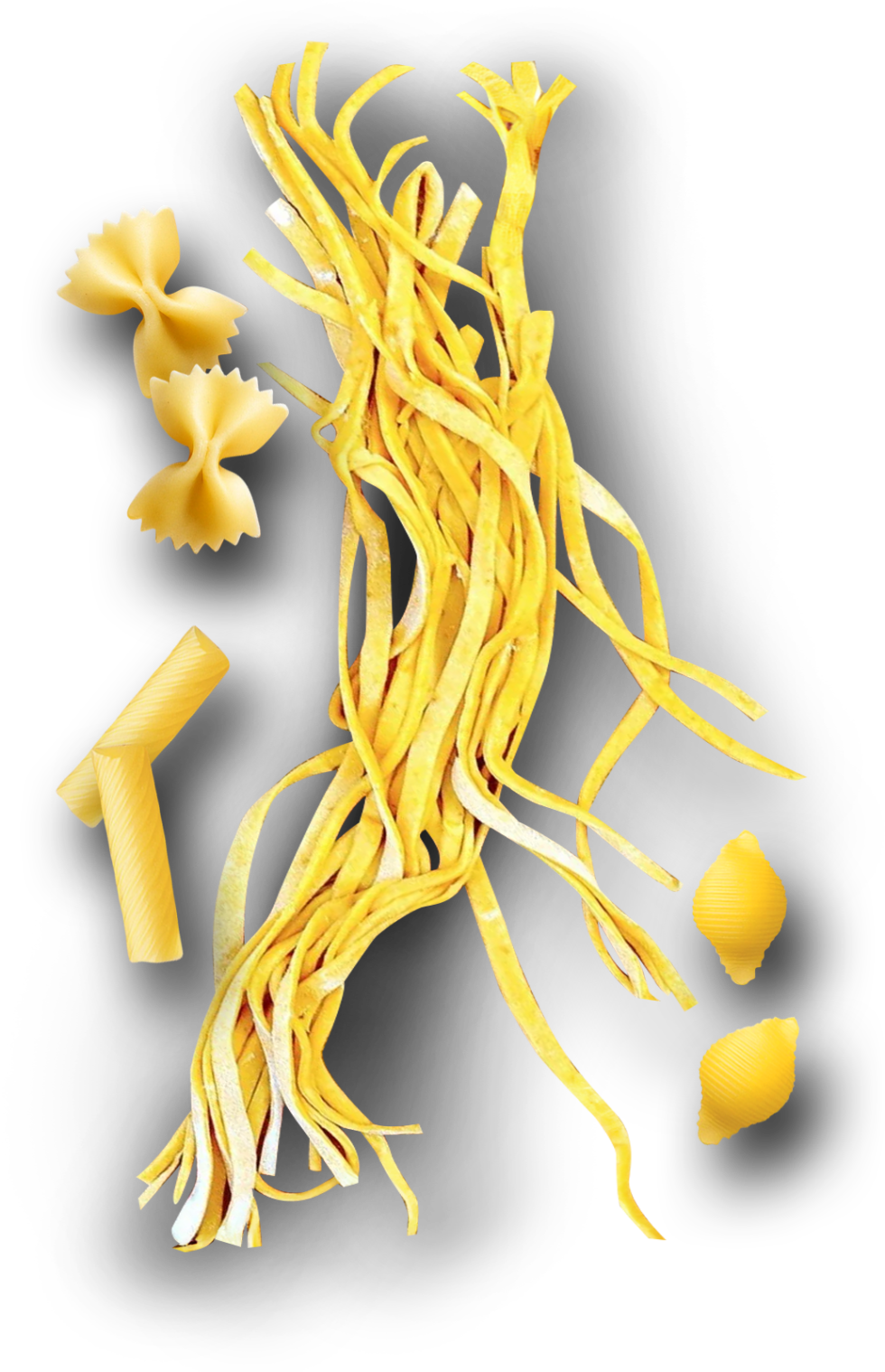 Molto Bene Restaurant | Fine Italian Cuisine